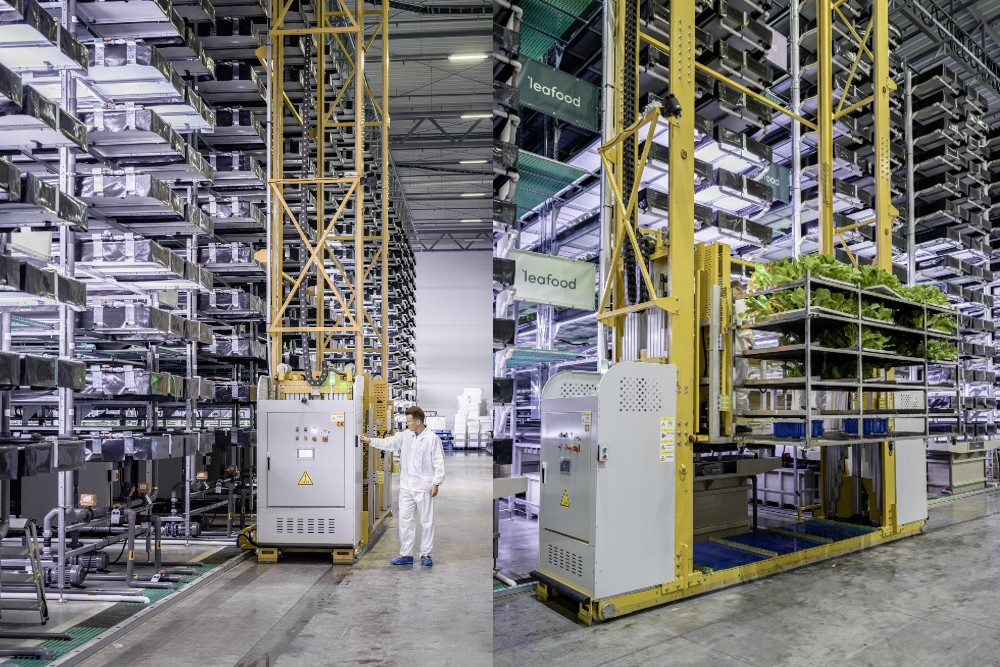 YesHealth Group - Technology